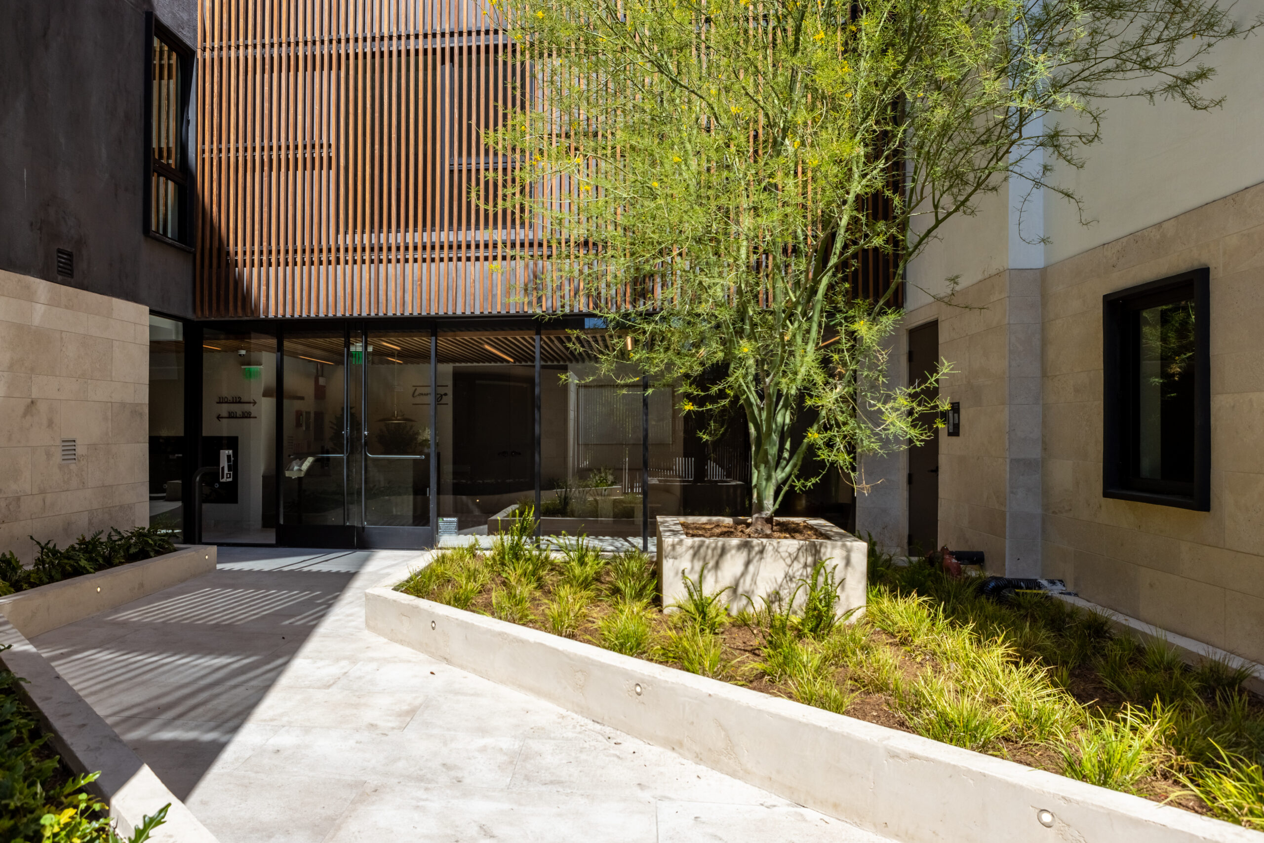 Addison Croft - Kevin Tsai